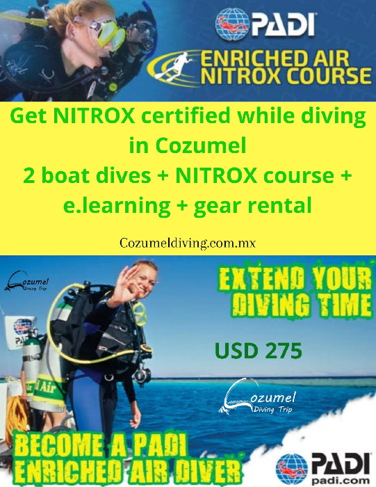 NITROX COURSE :: Cozumel Diving Trip